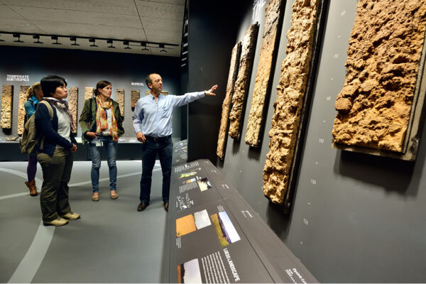 World Soil Museum – Nine Concept and Design